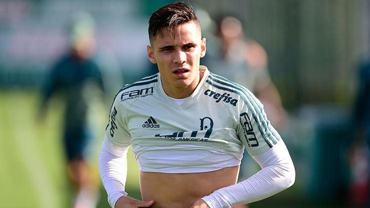 Alex 'Raphael'i önerdi - Fanatik Gazetesi Fenerbahçe (FB) Haberleri Spor