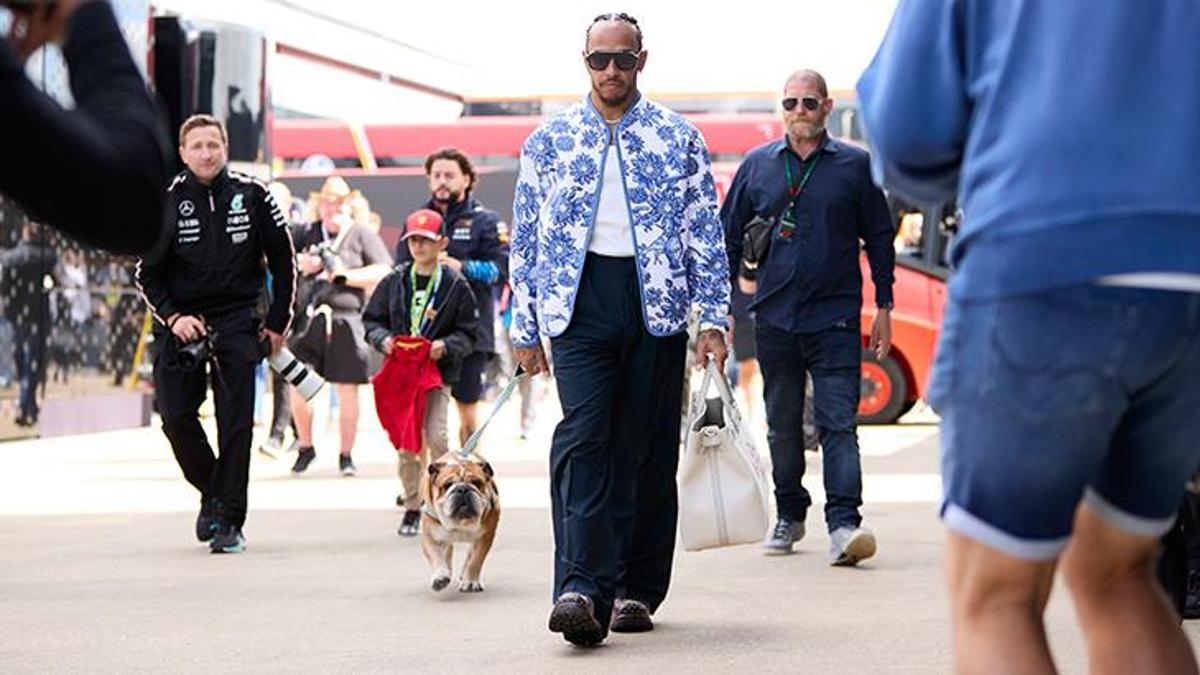 Lewis Hamilton mourns the loss of beloved dog Roscoe: 'Most painful ...