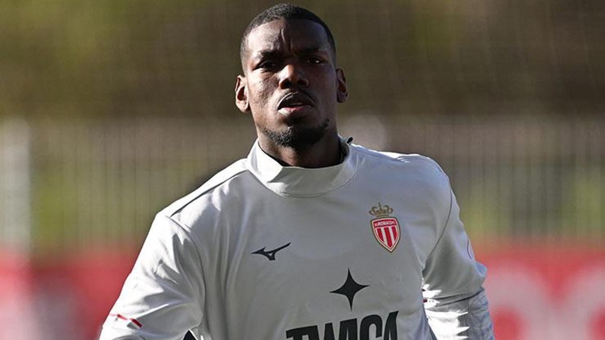 Interesting investment from Paul Pogba! He became a partner in a camel ...