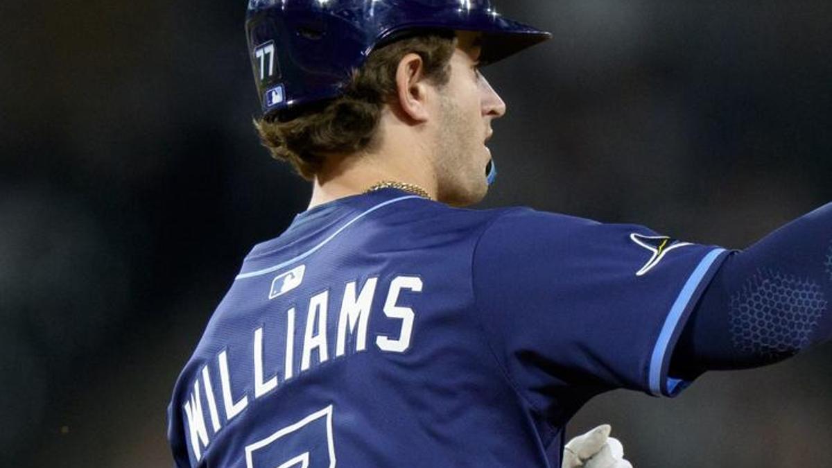 Where Do the Tampa Bay Rays Play Baseball? Stadium Details